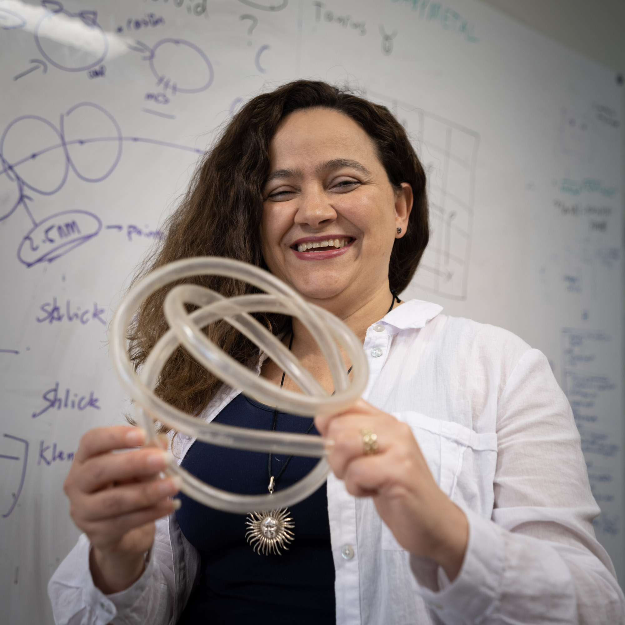 Untangling DNA Knots with Math and Biology at UC Davis ...