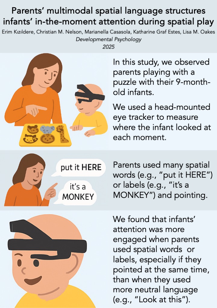 Babies Pay Attention Longest When Parents Combine Words and Gestures, UC Davis Study Suggests ...